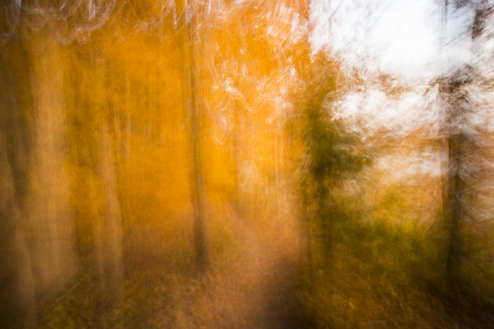 Exhibits – Link Art Gallery